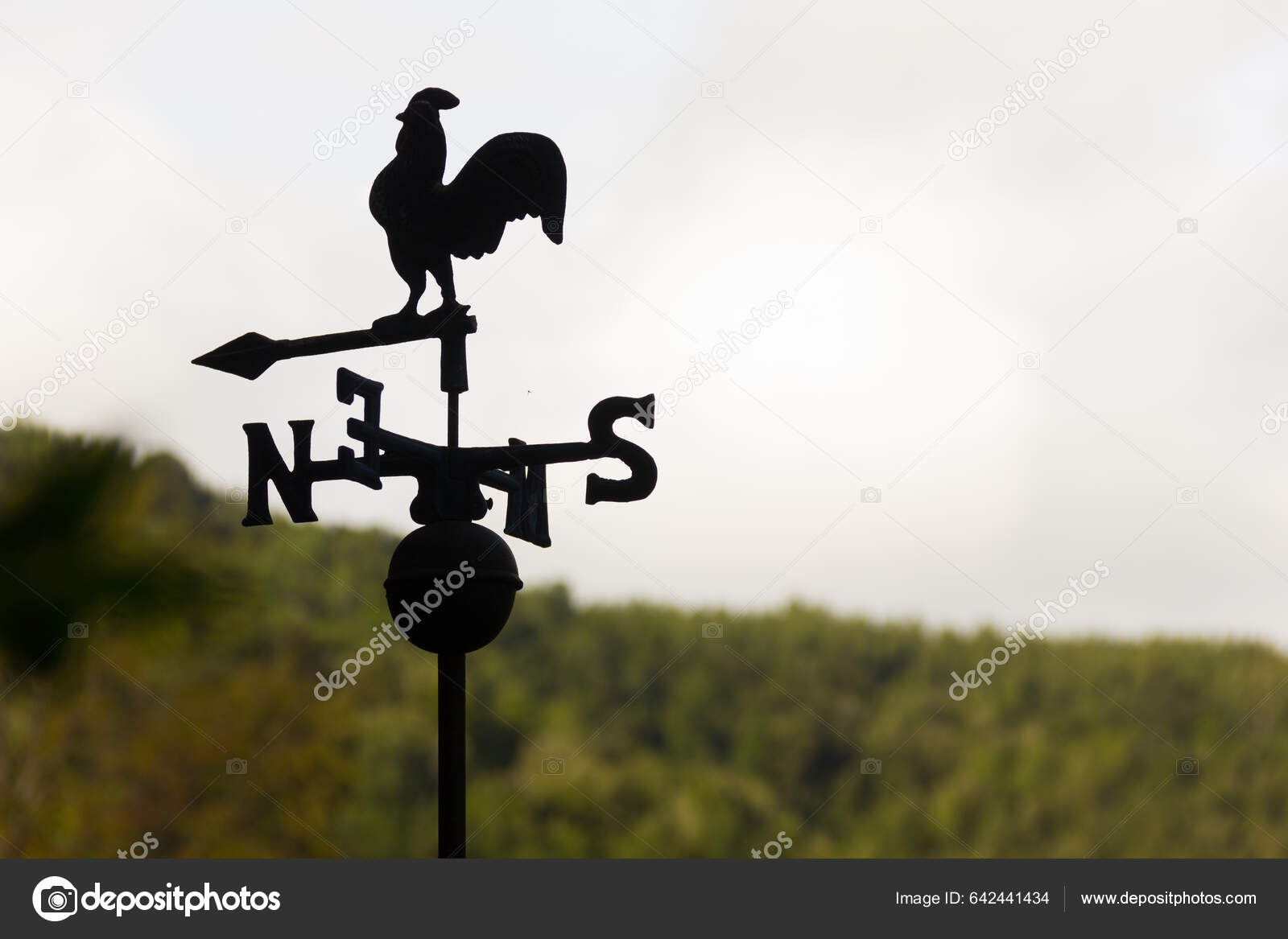 Rooster Wind Compass