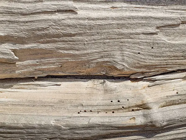 Batuan sedimen klastik Stock Photos, Royalty Free Batuan sedimen ...