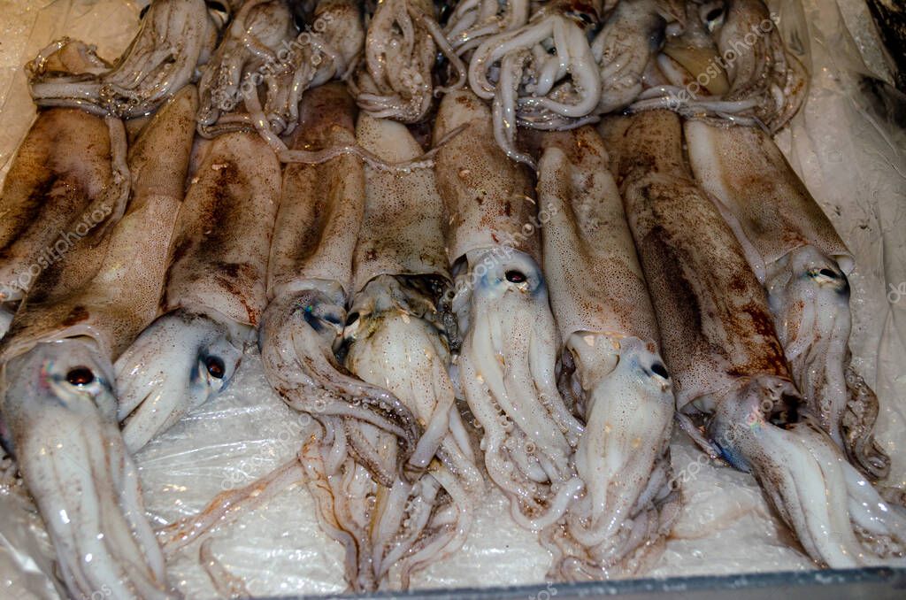 En la foto se puede ver un puesto de mercado donde se vende calamar ...