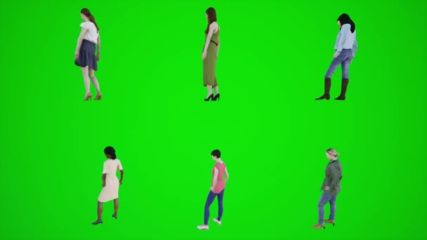 Animation Von Sechs Frauen Die Auf Einem Grünen Bildschirm Stehen ...