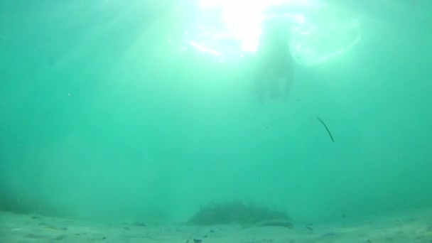 2,173 Exploration aquatique Videos, Royalty-free Stock Exploration ...