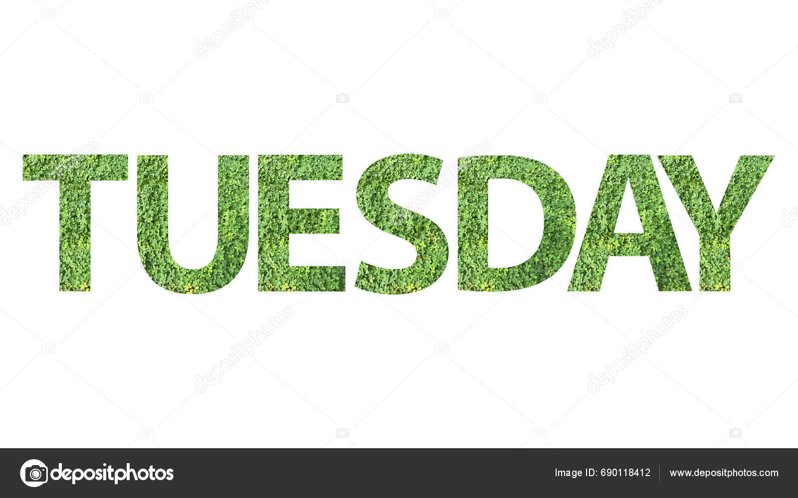 Tuesday Word Text Made Green Grass Isolated Transparent Background Png ...
