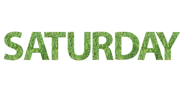 Tuesday Word Text Made Green Grass Isolated Transparent Background Png ...