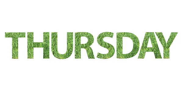 Tuesday Word Text Made Green Grass Isolated Transparent Background Png ...
