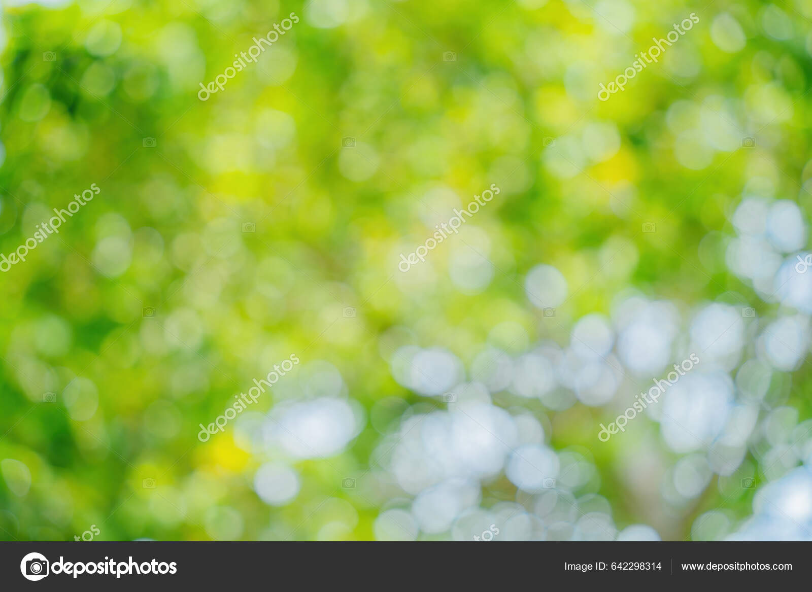 Fondo Naturaleza Verde Abstracta Soleada Color Verde Difuminado ...