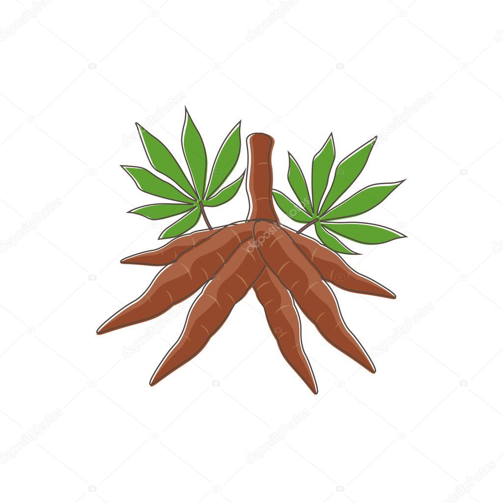 Cassava Root Line Art Vector Ilustración Logo 2024