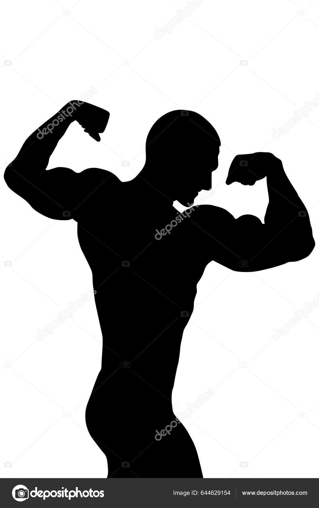 Bodybuilding Silhouette Back 1,600+ Silhouette Of Muscular Back Stock
