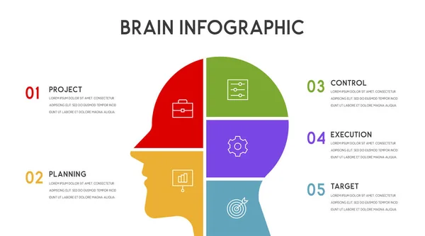 11,044,253 Human brain infographic Vector Images | Depositphotos