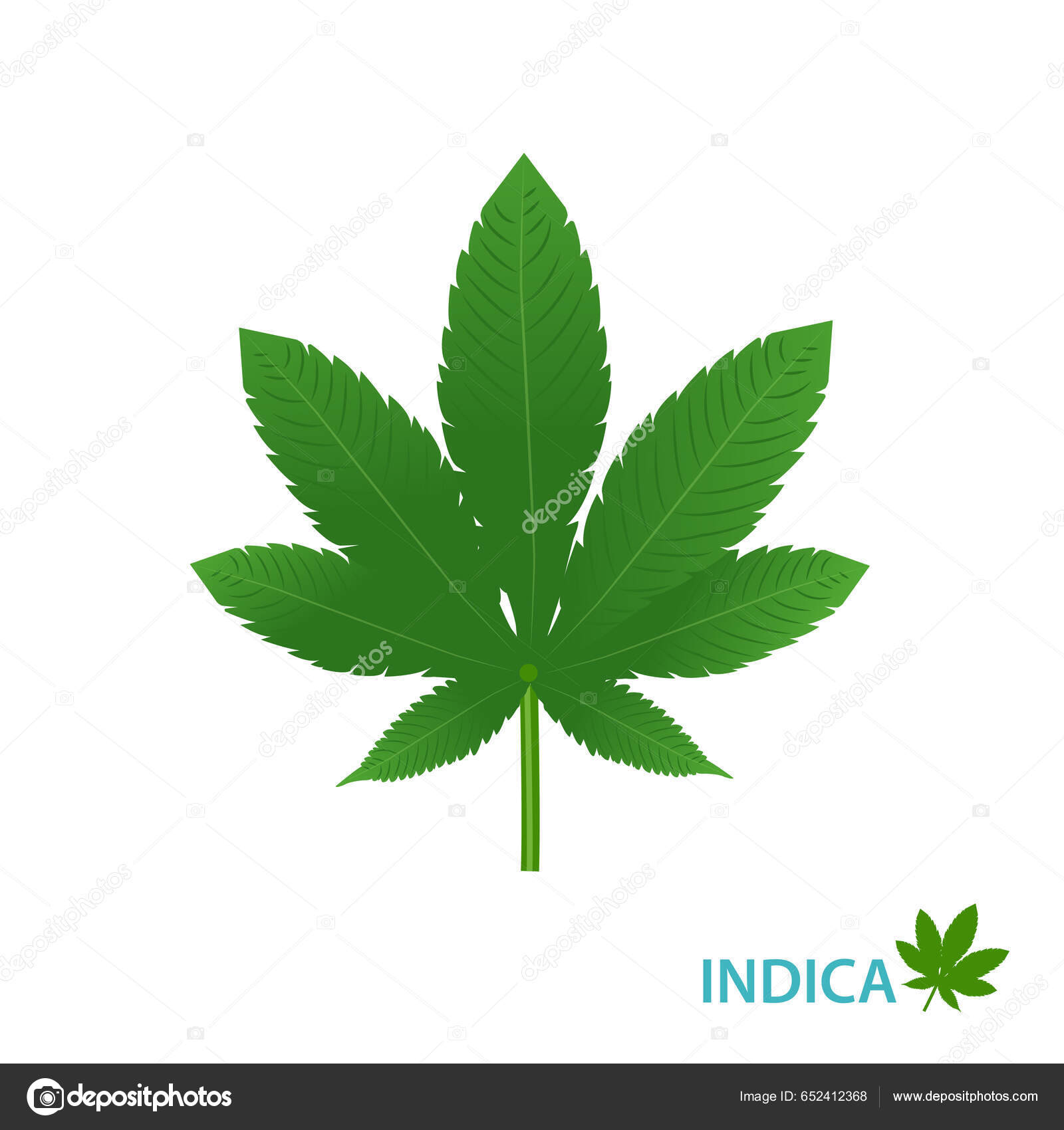 Cannabis Indica Strain Vector Isolated White Background Indica Strains Cannabis Stock Vector by ...