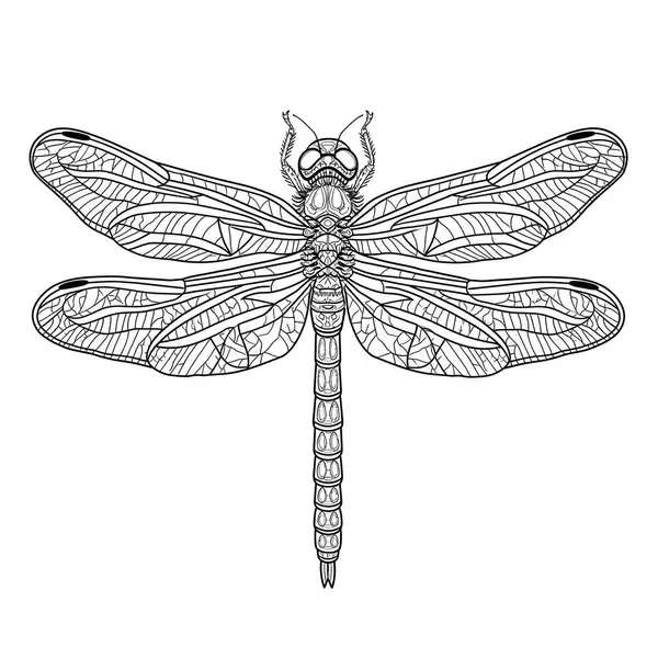 10,000,000+ imágenes de Coloring page insects libres de derechos ...