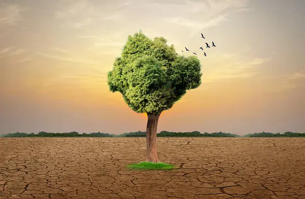 D a Mundial del Medio Ambiente Concepto 2024 - Restauraci n de la ...