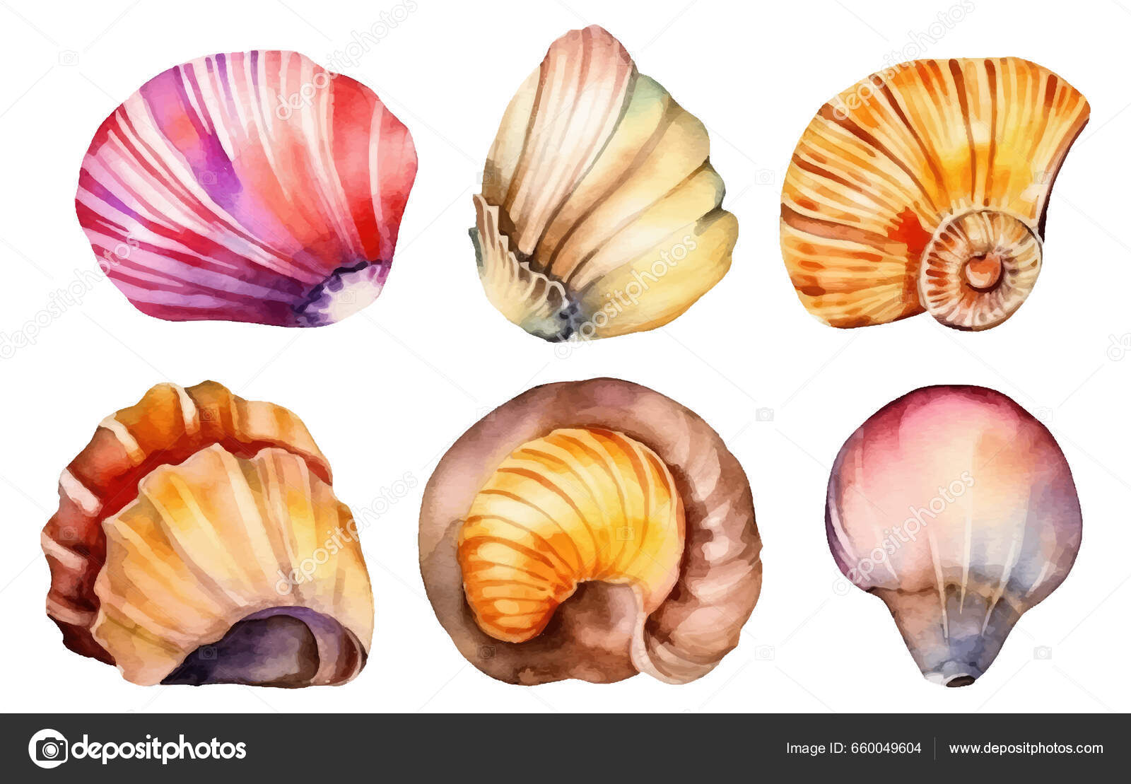 Watercolor Set Vector Illustration Tropical Seashell Isolated White ...