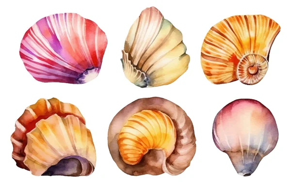 23,537,630 Shells waterpaint Vector Images | Depositphotos