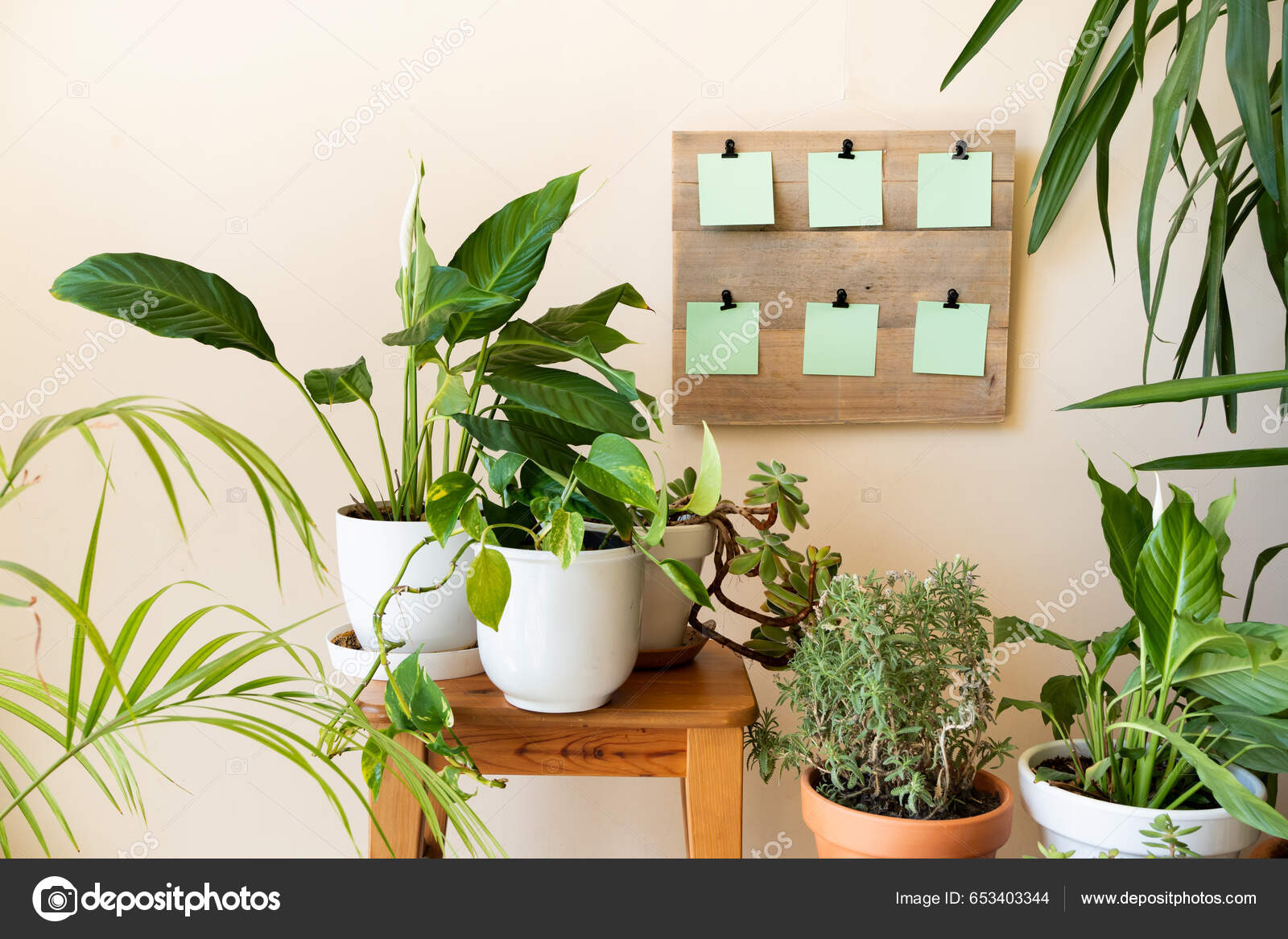 Wooden Board Clamps Which Hang Green Post Notes Which Write — Stock ...