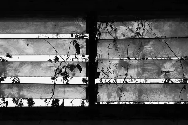 Thomas schlamme Stock Photos, Royalty Free Thomas schlamme Images ...