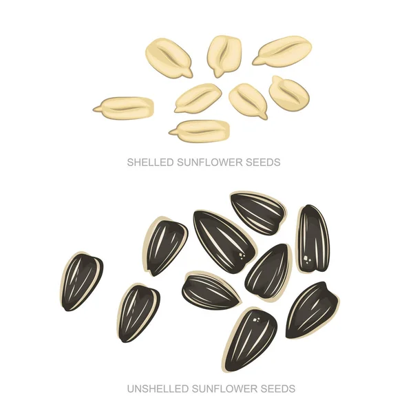 100,000 Biji kapulaga Vector Images | Depositphotos