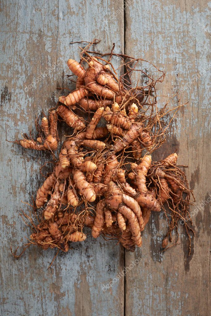 pila de rizomas o raíces de cúrcuma recién cosechados en la mesa ...