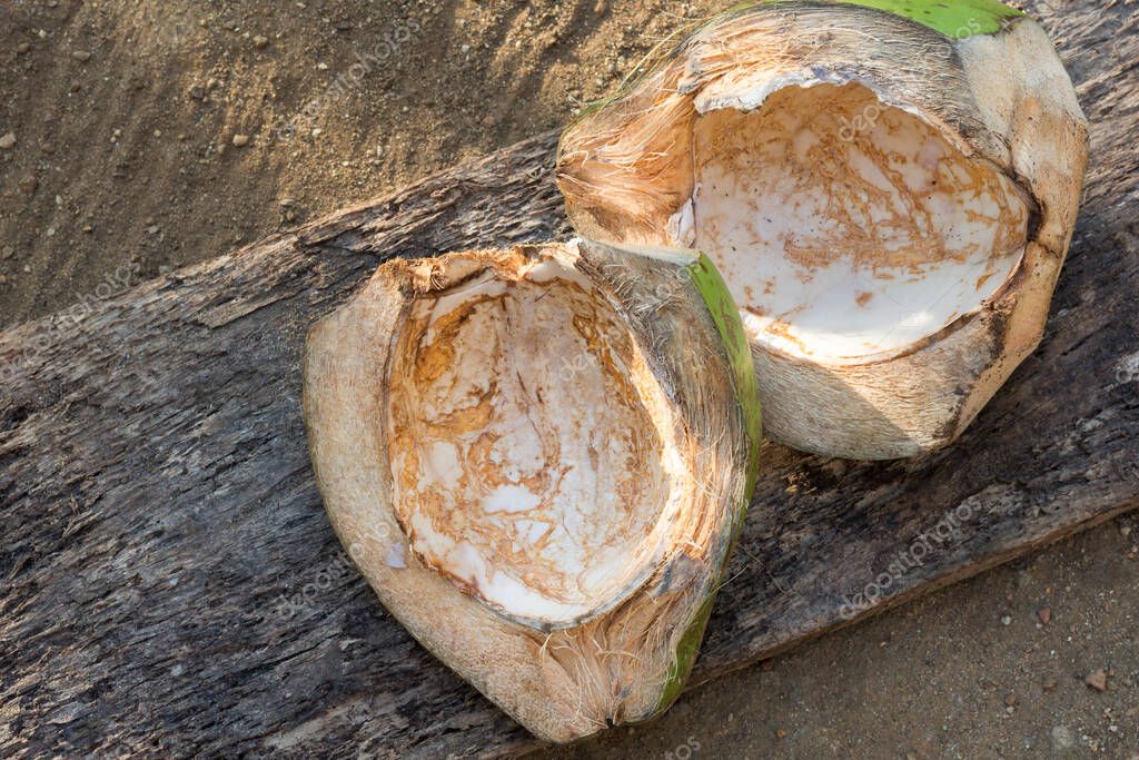 Desperdicios de cáscara de coco o coco que se secan bajo el sol ...