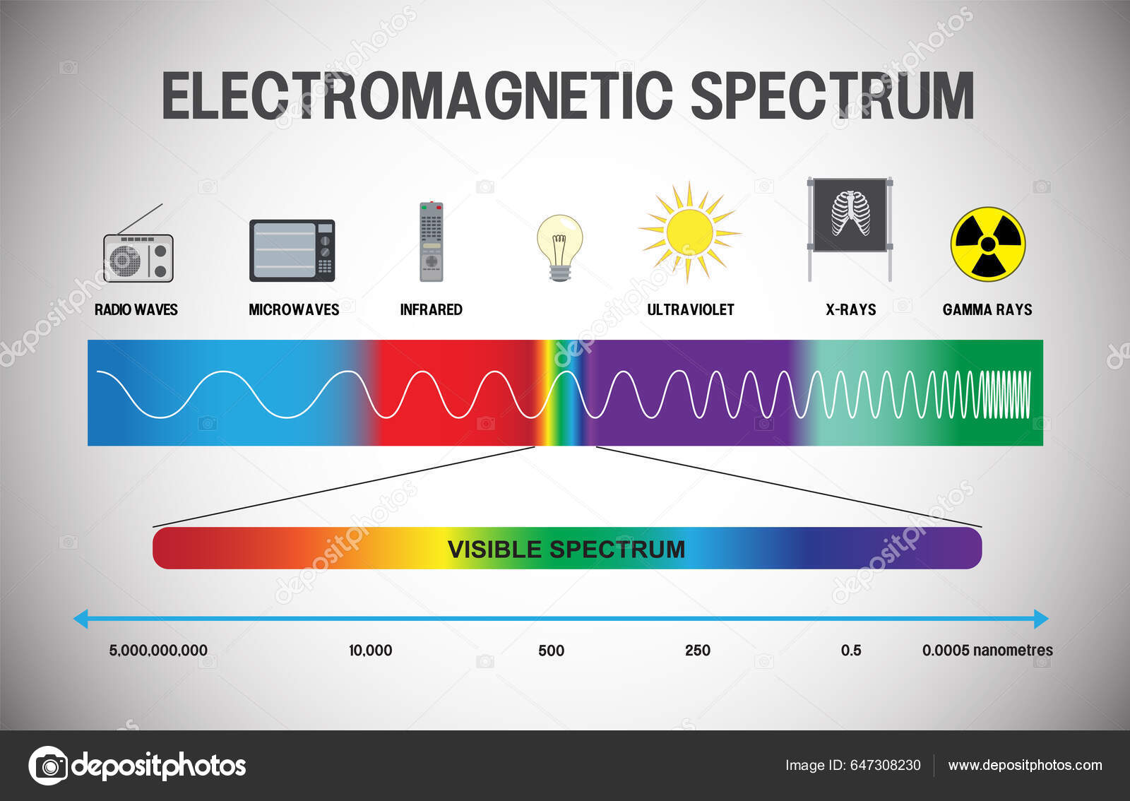 Ilustración Infografía Del Espectro Electromagnético Vector de stock ...