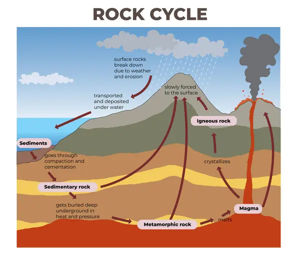 Rock cycle Vector Images | Depositphotos