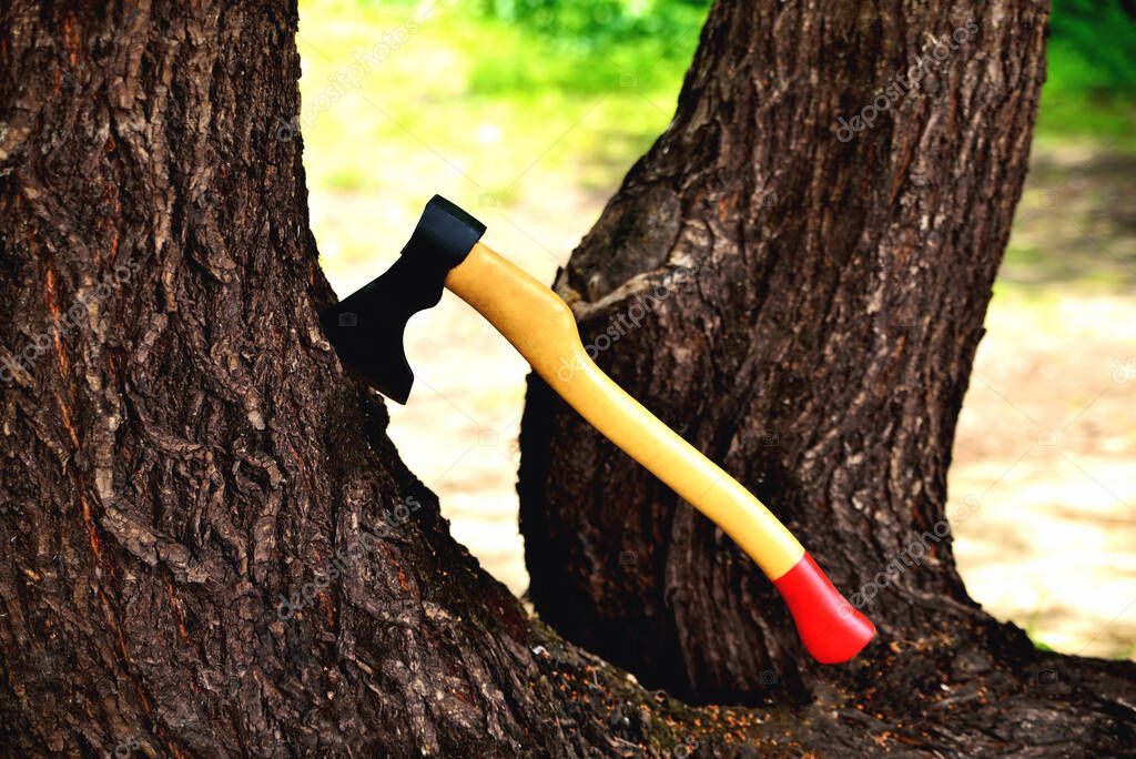 un hermoso hacha en forma de sobresale en un árbol, con un mango ...