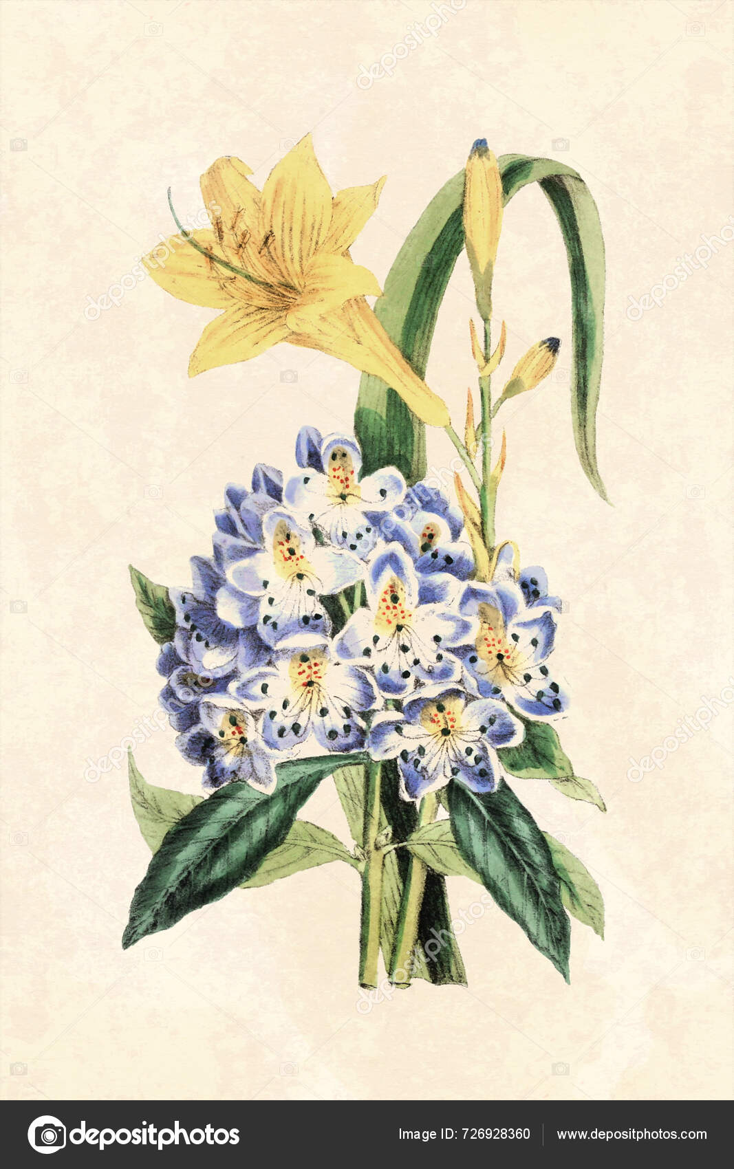 Rustic Flower Illustration Floral Art Beige Background Vintage Style ...