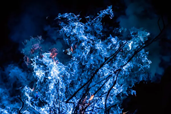 Blue flames Stock Photos, Royalty Free Blue flames Images | Depositphotos