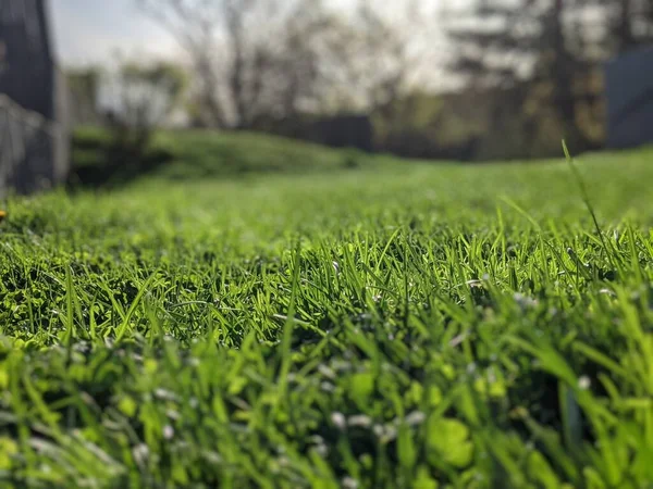 Grass covered house Stock Photos, Royalty Free Grass covered house ...