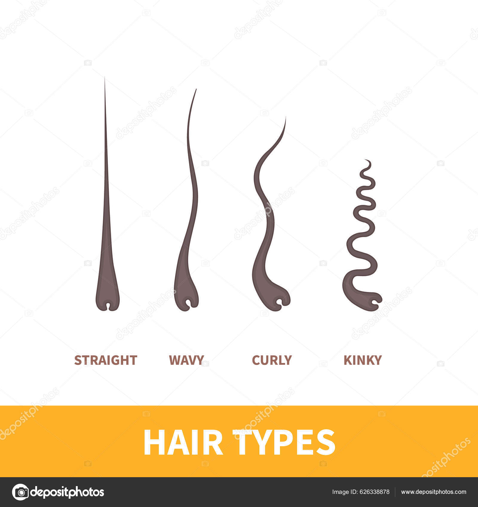 Straight Hair Under Microscope