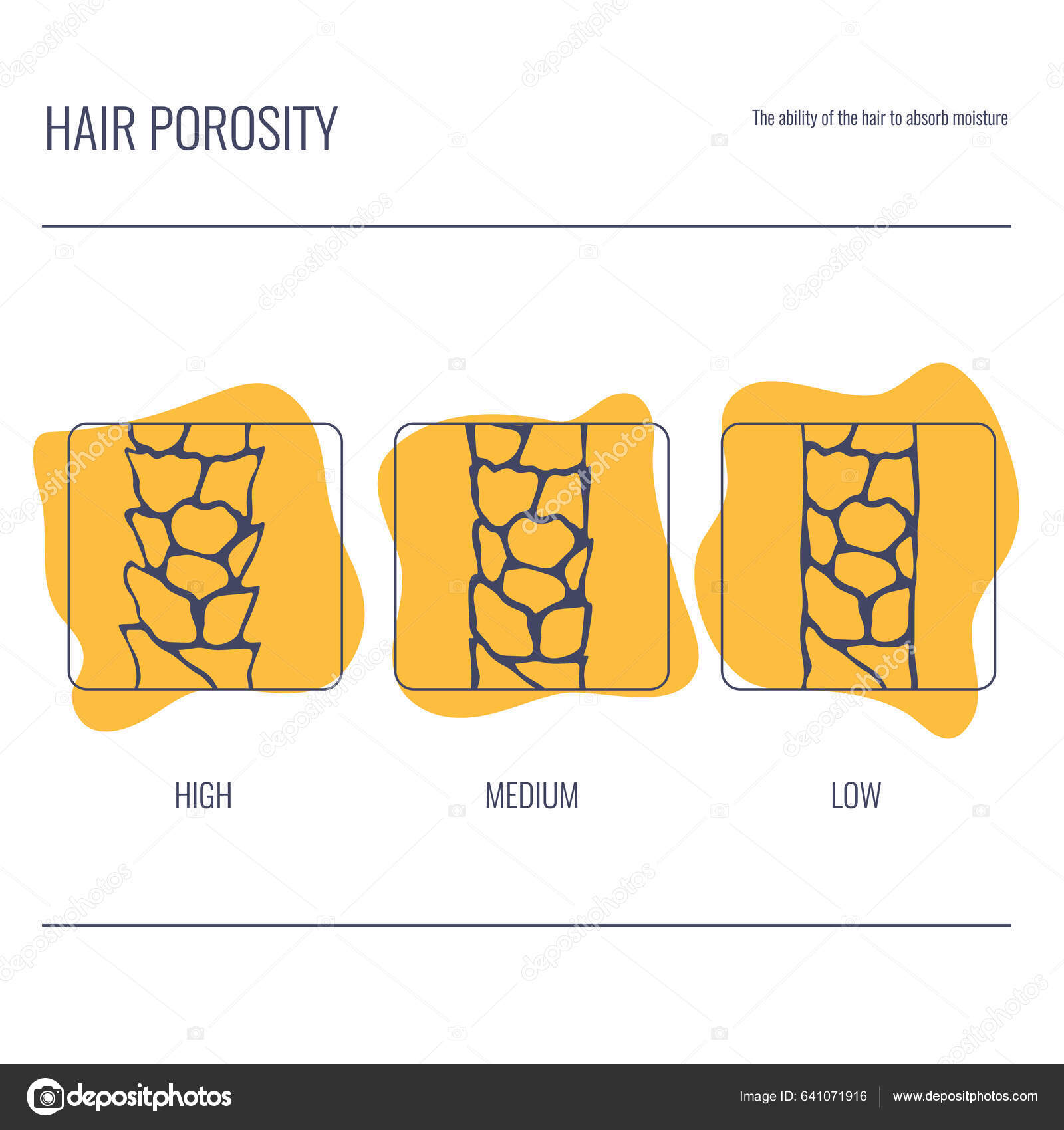 Hair Porosity Types Classification Set Strand Low Normal High Cuticle ...