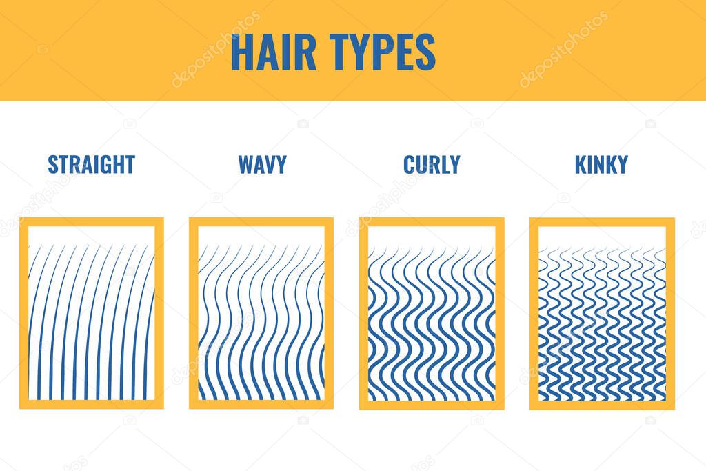 Conjunto de clasificación de tipos de cabello liso, ondulado y rizado ...