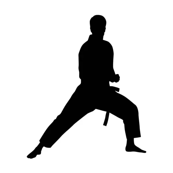 Karate shadow Stock Photos, Royalty Free Karate shadow Images ...