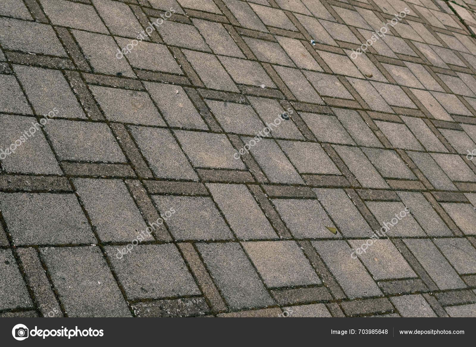 Detailed Image Rectangular Grey Brick Walkway Diagonal Pattern ...