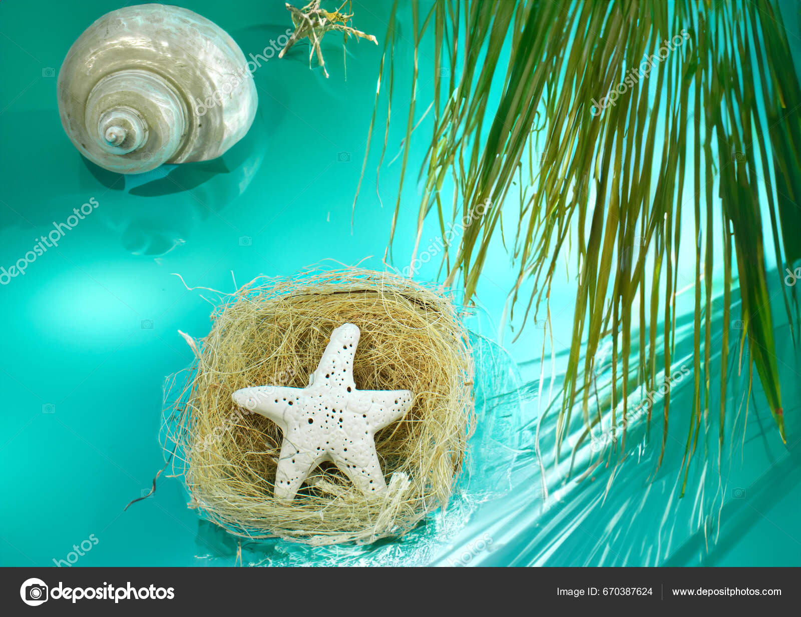 White Sea Star Sea Shell Turquoise Background Leaves Palm Shade Stock ...