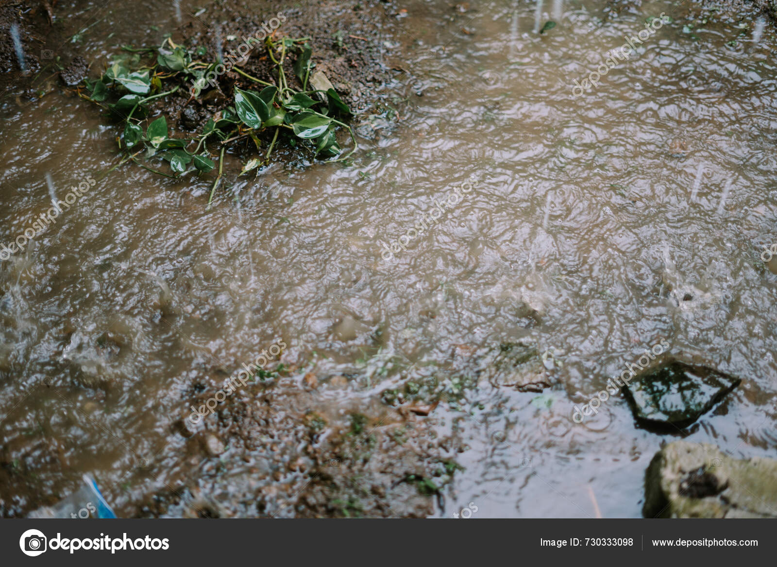 Trees Garden Heavy Rain Causing Water Overflow Flood Area Creating ...