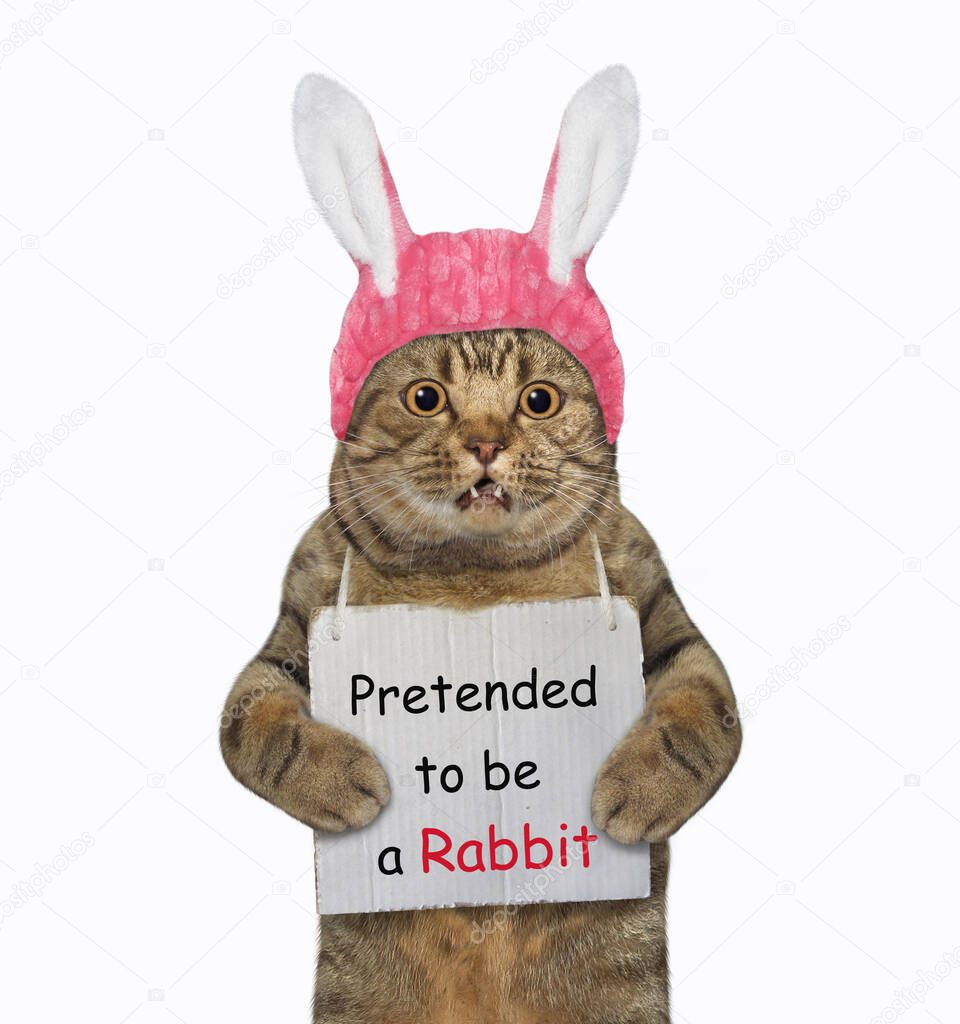 Un gato beige en orejas de conejo tiene un letrero alrededor de su ...