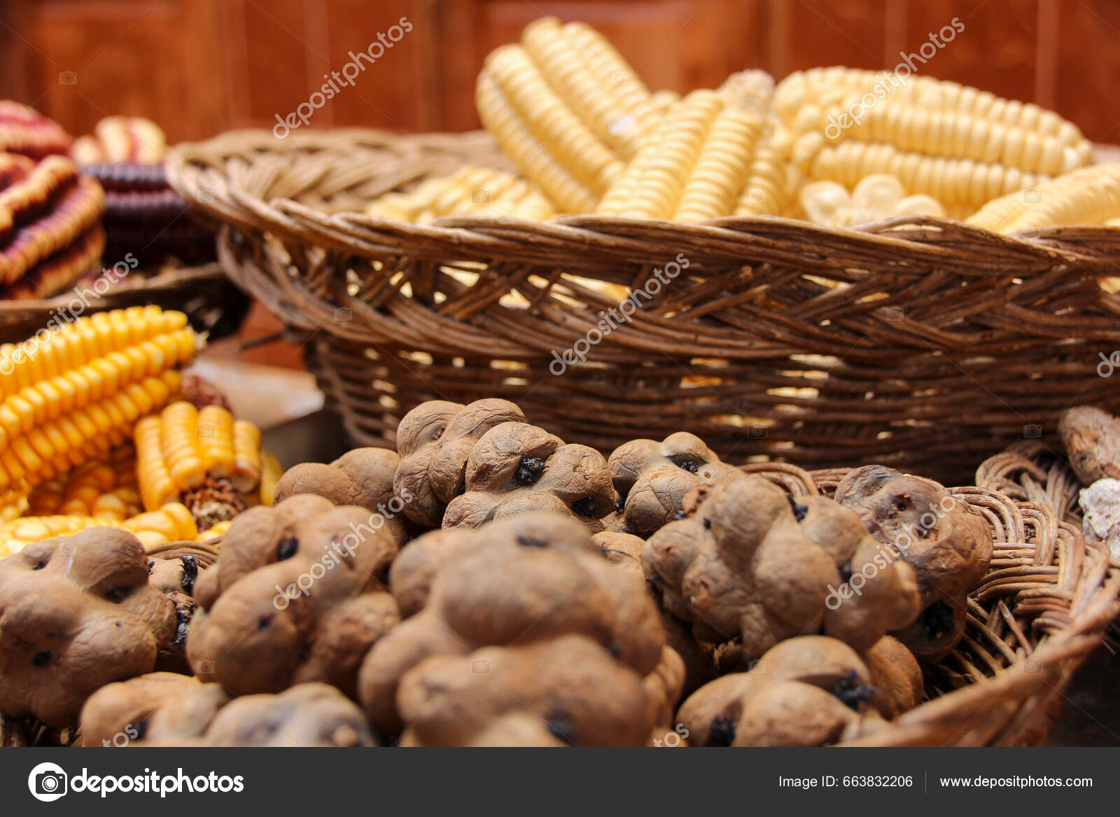 Corn Cob — Stock Photo © Milton2023 #663832206