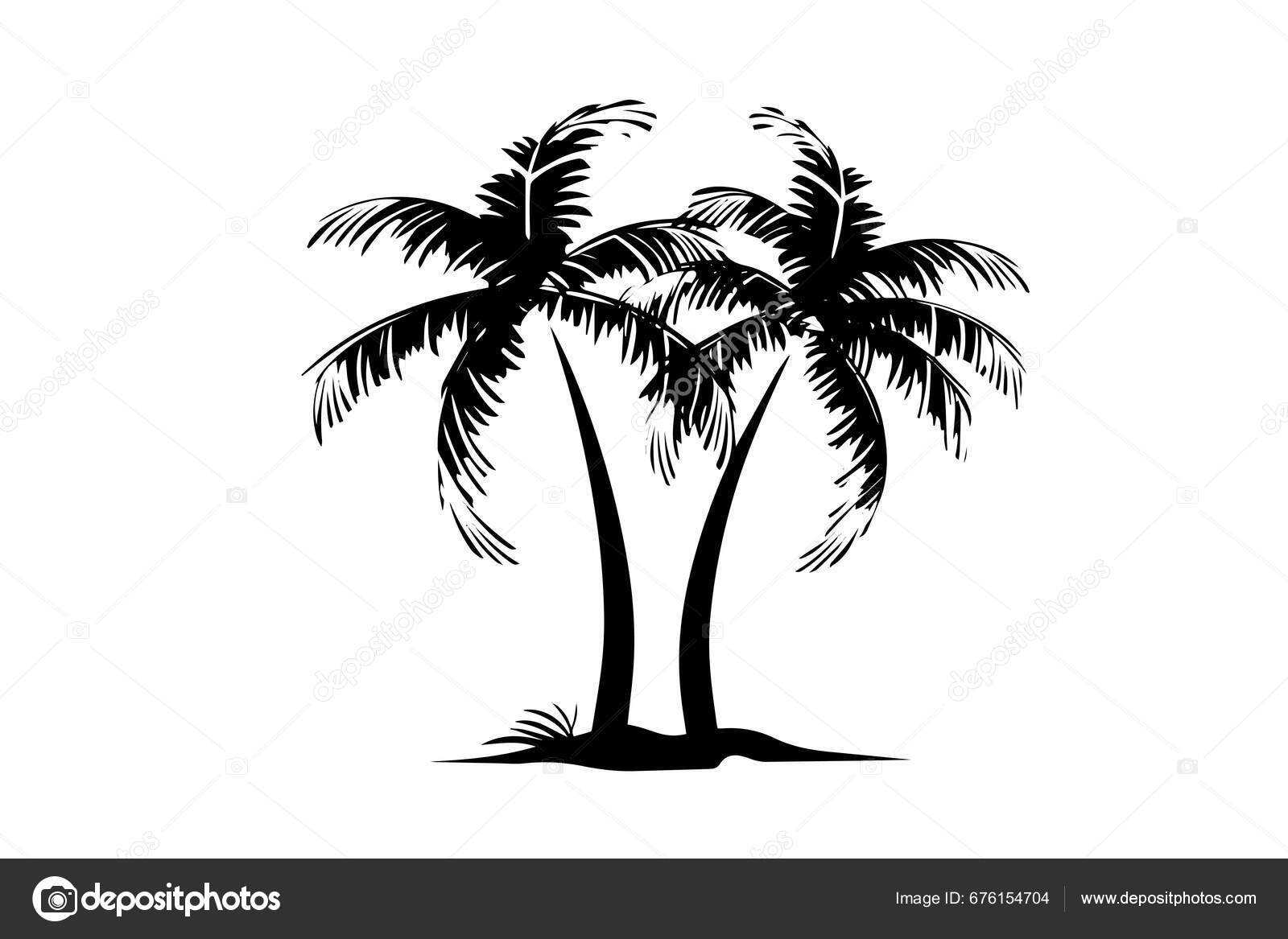Palmera Con Boceto Dibujado Mano Coco Ilustración Vector Silueta Tinta ...