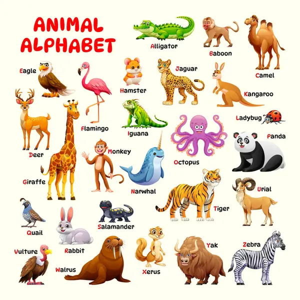 Chart Of A To Z Wild Animals Stock Vector Image Z Animal Chart Stock