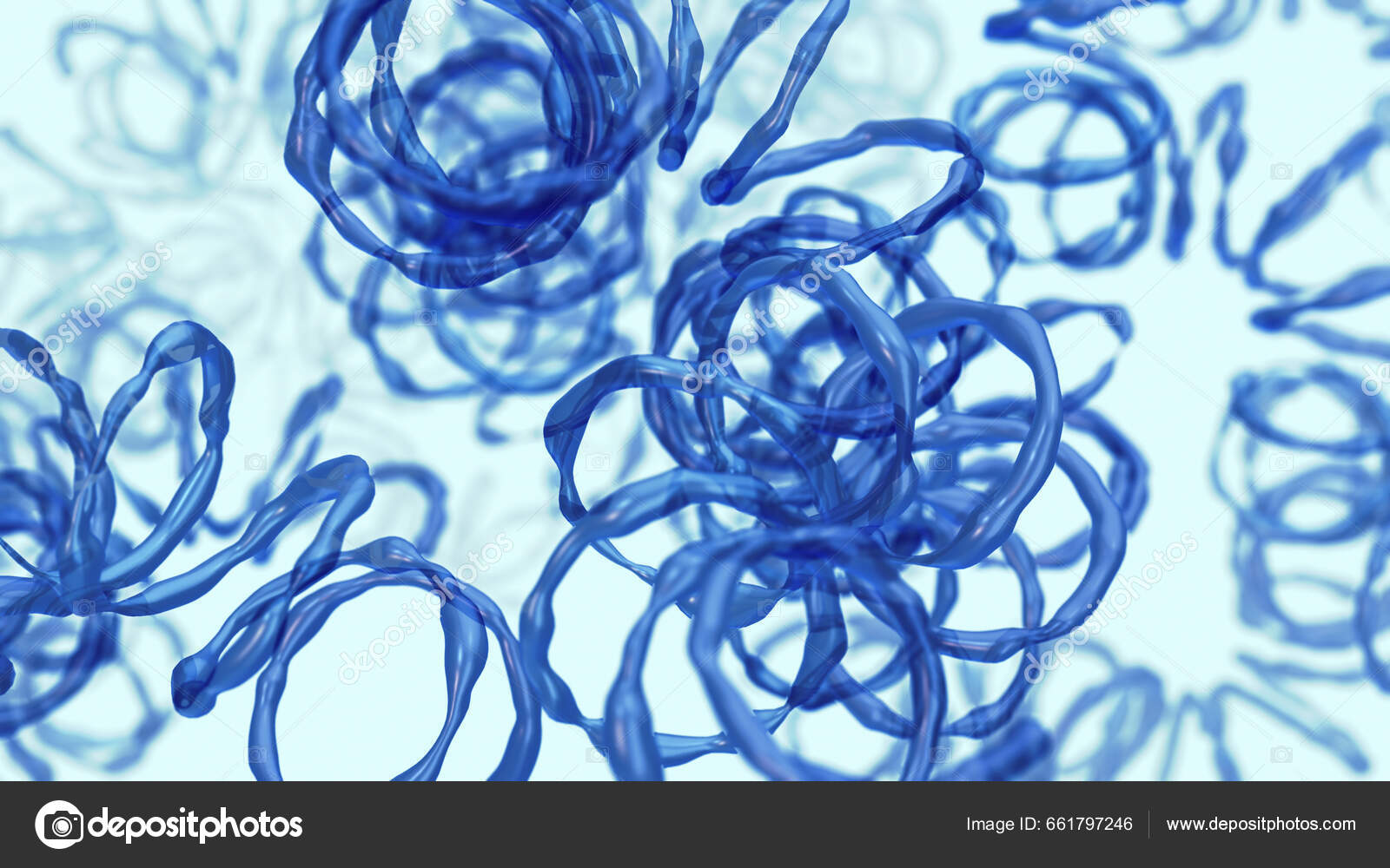 Spiral Bacteria Under Microscope