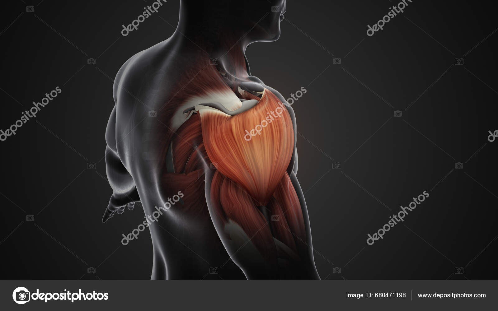 Pain Damage Shoulder Muscles — Stock Photo © JitendraJadhav #680471198