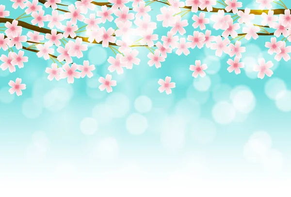 Cherry Blossom Spring Flower Background Stock Vector by ©KUU 696800174