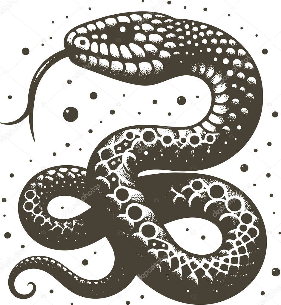 Ilustración detallada de una serpiente en espiral en estilo de arte ...