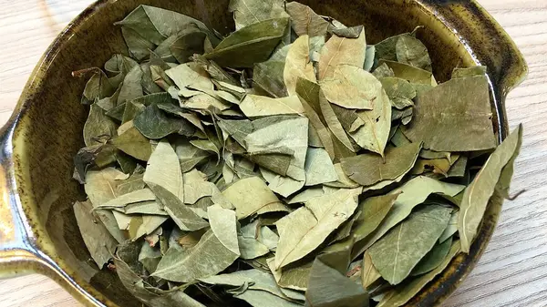 Té de eucalipto fotos de stock, imágenes de Té de eucalipto sin ...