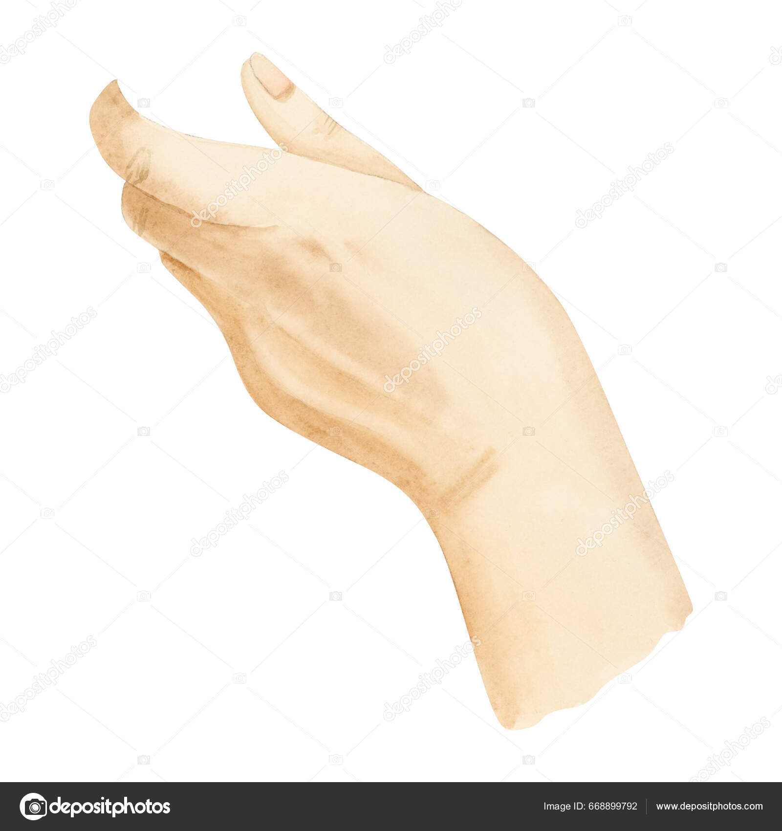 Elegant Female Hand Holding Template Watercolor Illustration Isolated ...