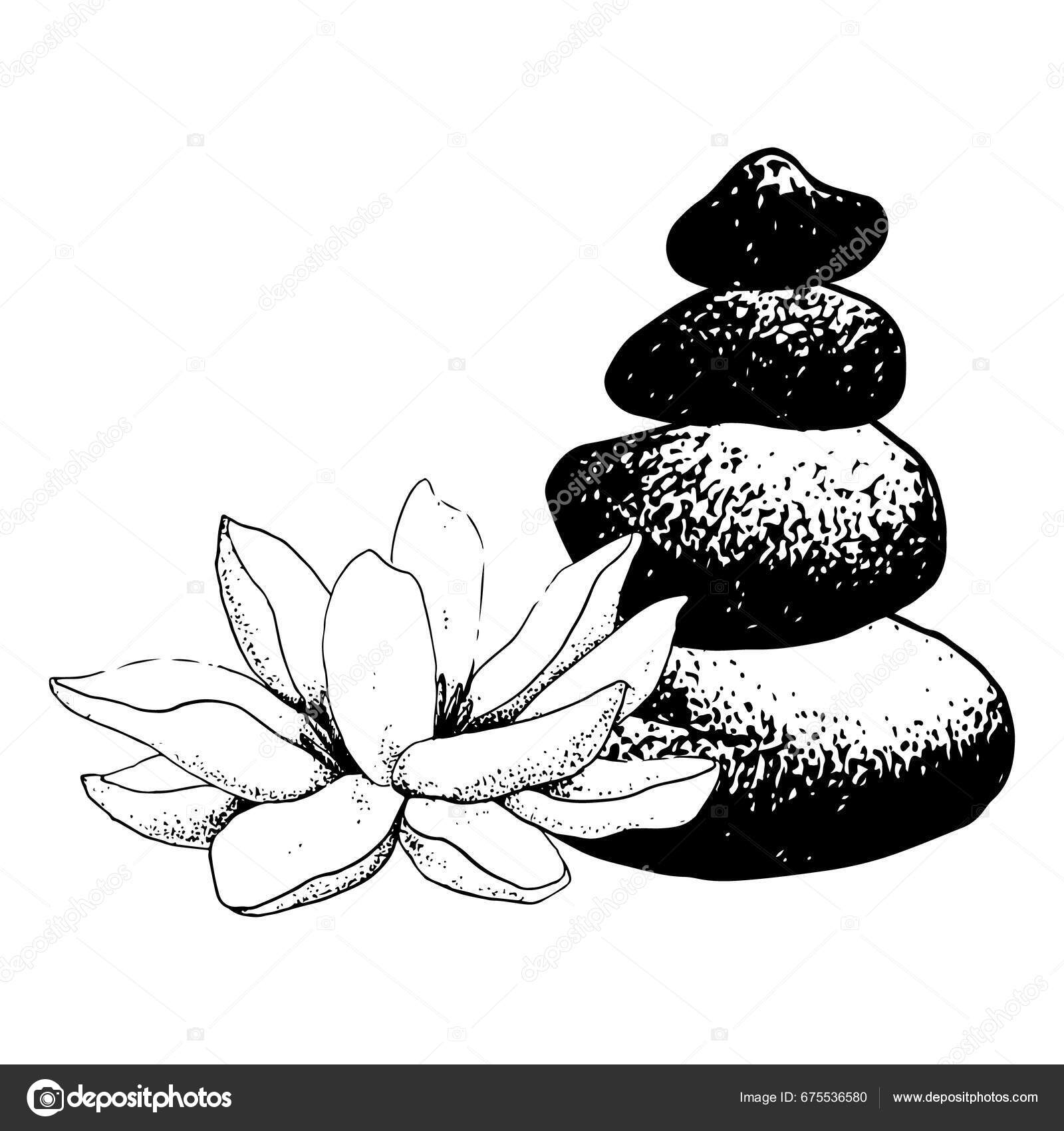 Vector Lotus Flower Balanced Stones Pyramid Realistic Graphic Sketch ...