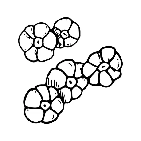 29,448,326 Drawing seal Vector Images | Depositphotos