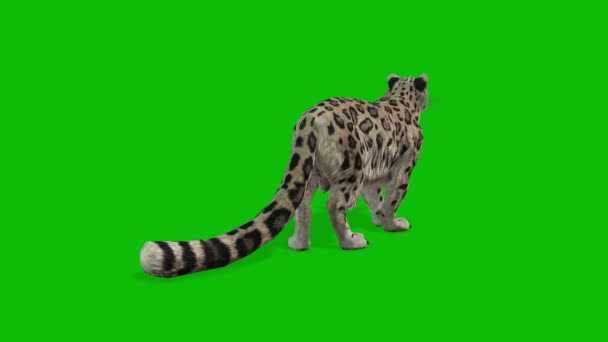 5,516 Cat green screen Videos, Royalty-free Stock Cat green screen ...