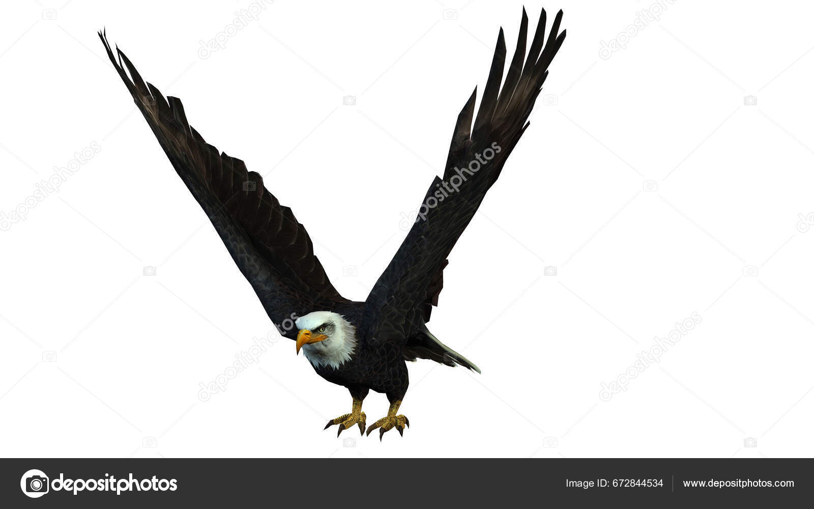 Black Eagle Flying Isolated White — Stock Photo © BoVibol #672844534