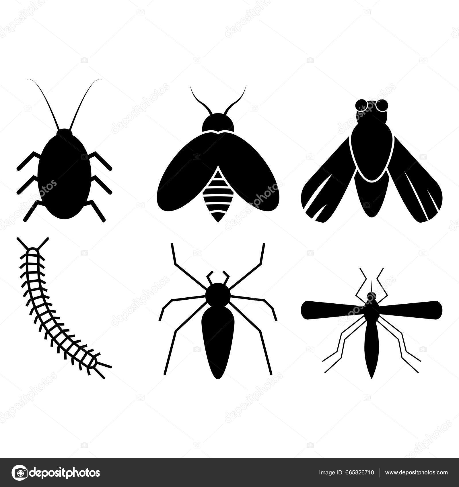 Insecto Icono Vector Plantilla Ilustración Logo Diseño Vector de stock ...
